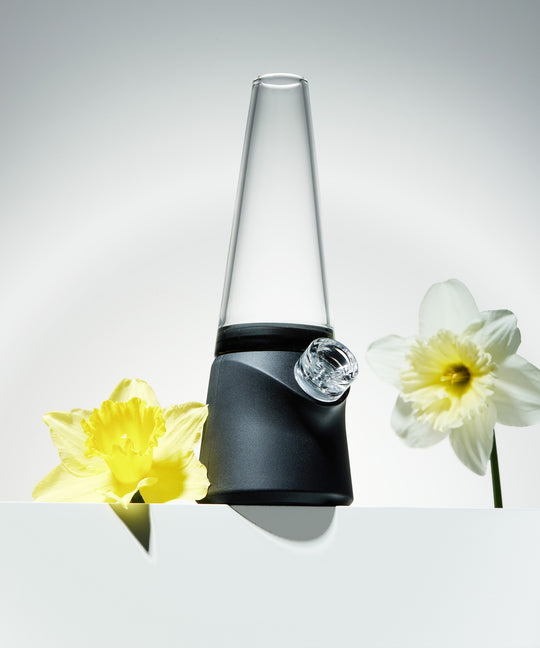 ALL PRODUCTS – SOFTGLASS